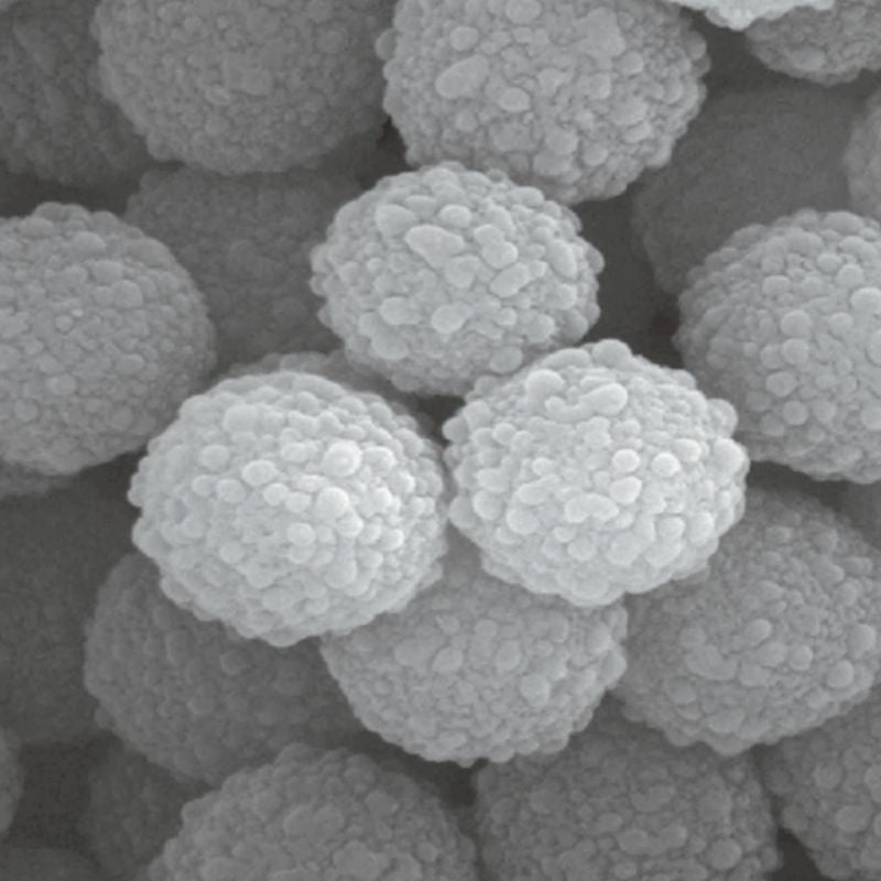 PMMA Microspheres,Polymer Monodisperse factury for sale